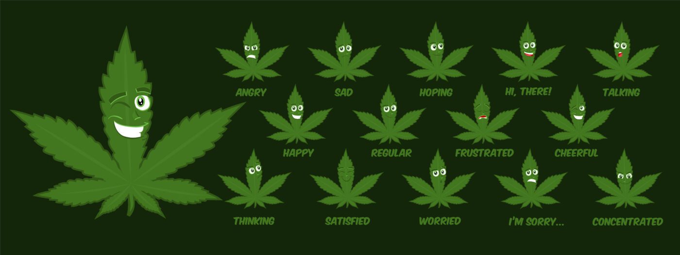 Weed Nicknames Weed Nicknames