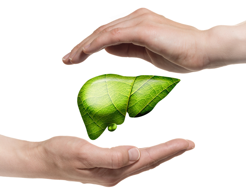 What Are The Signs That Your Liver Is Healing? | Zinnia Health